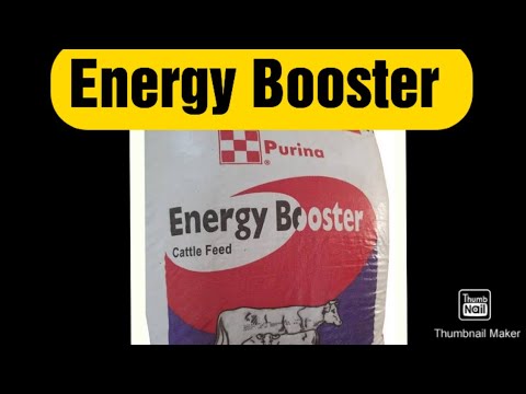 Energy Booster Cargill Feed एनर्जी बूस्टर कारगिल फ़ीड की पूरी जानकारी# ...