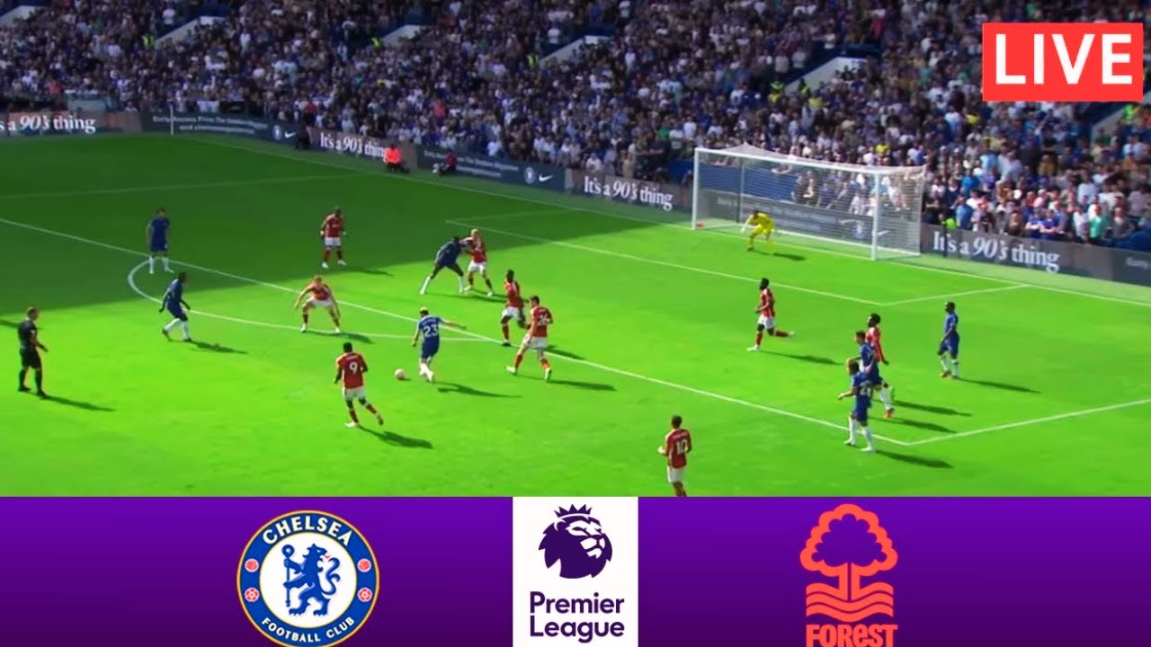 Chelsea vs Nottingham Forest HIghlights - YouTube