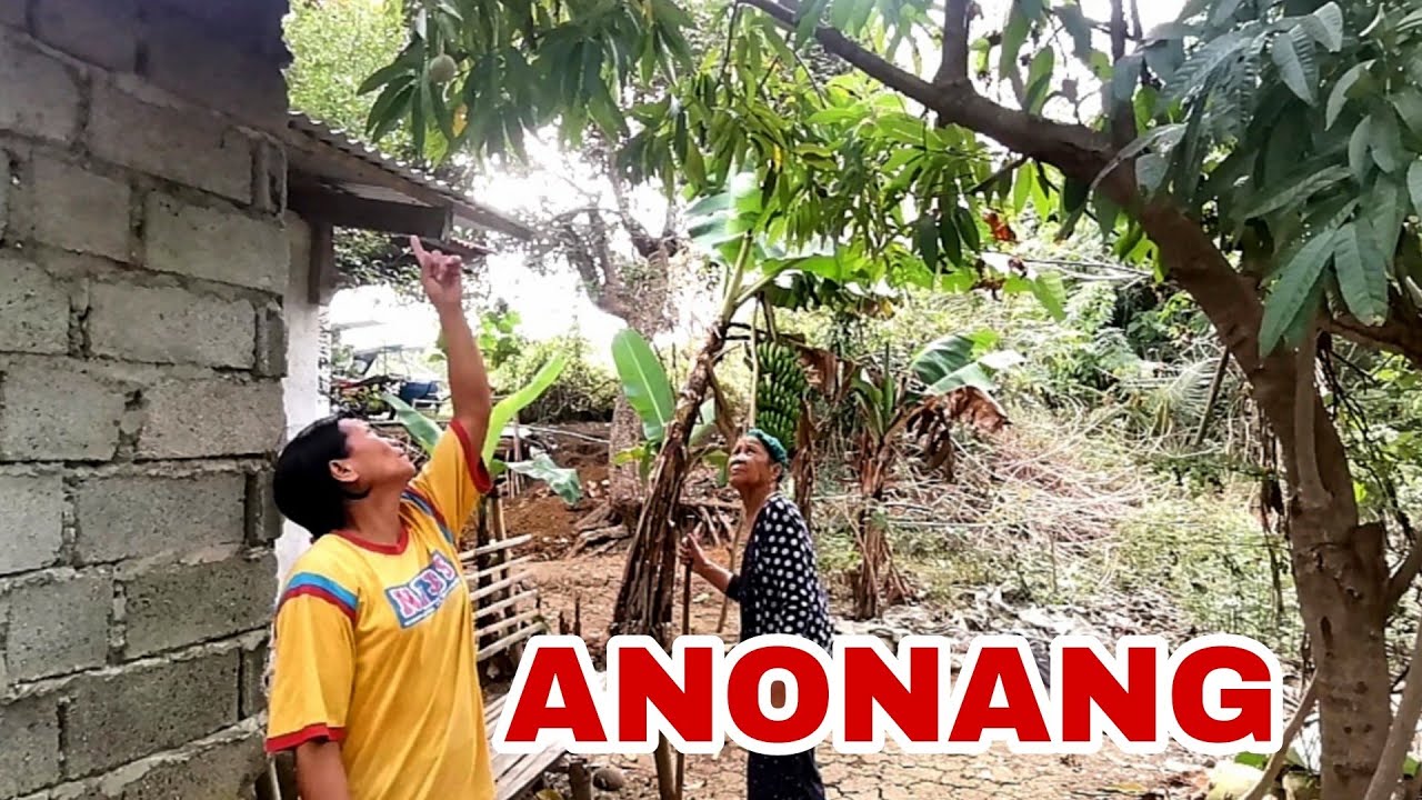 ILOCANO VLOG | ANONANG - YouTube