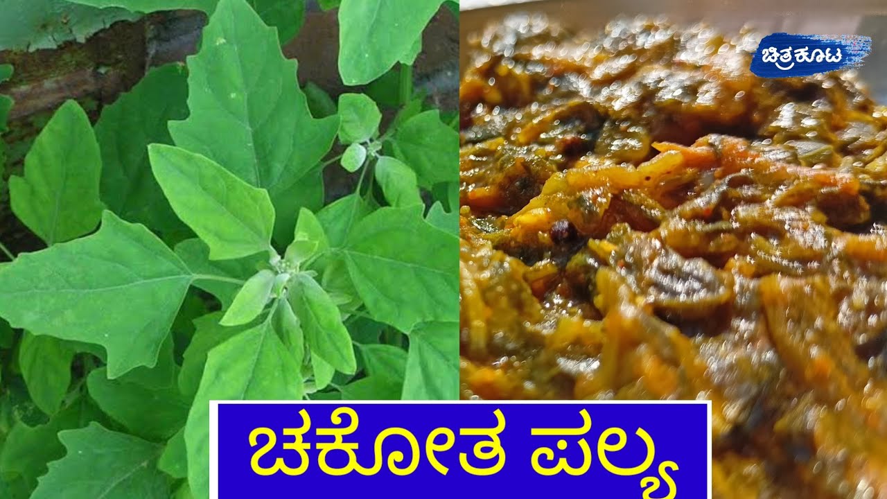 ರುಚಿಯಾದ ಚಕೋತ ಪಲ್ಯ|Chakota Palya|Chakota Recipe|Tasty Chakota Palya ...
