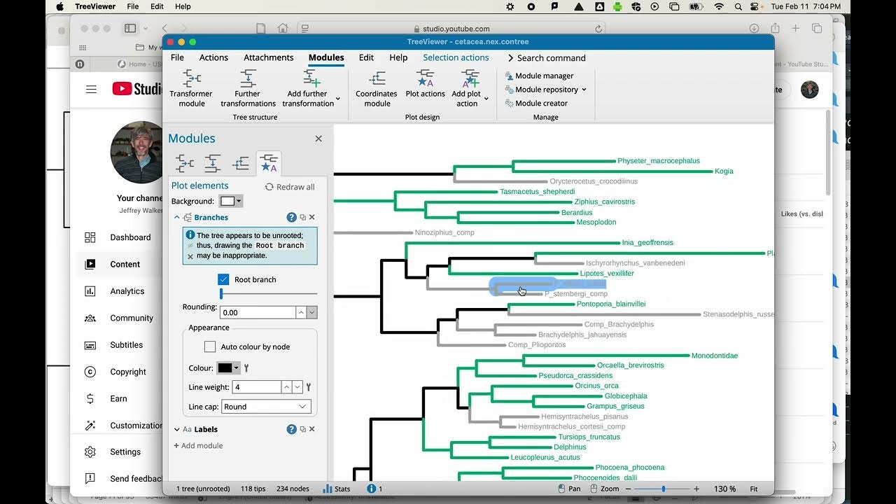 Using Treeviewer -- clean branches - YouTube