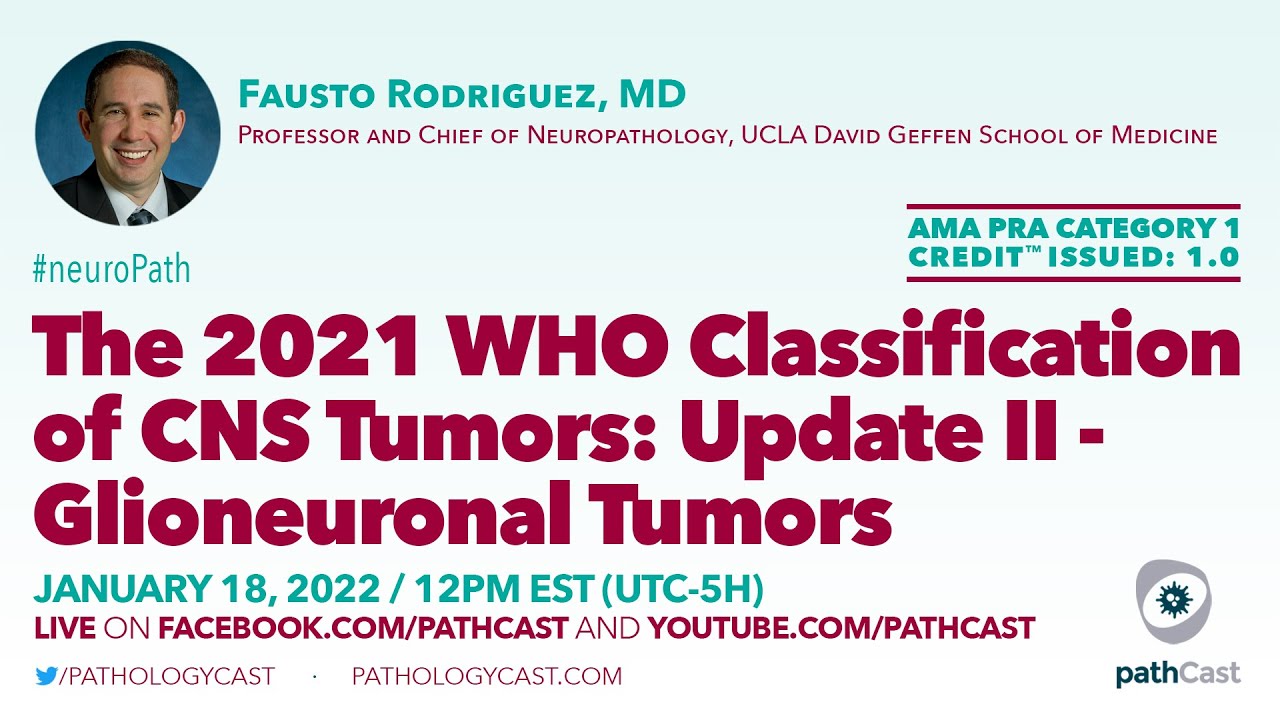 The 2021 WHO Classification of CNS Tumors: Update II - Glioneuronal ...