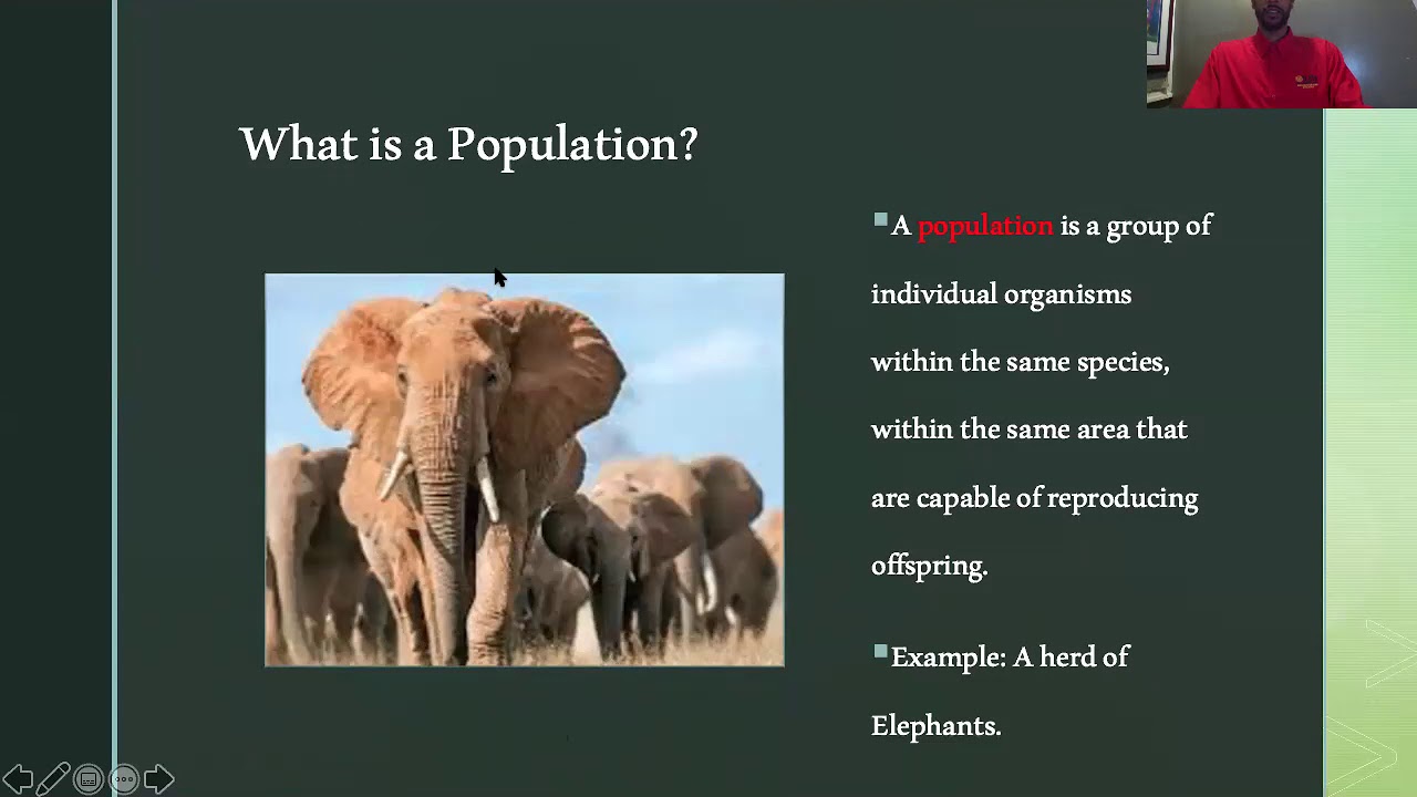 6th Grade Science - Ecology - YouTube