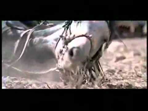 Aslan_-_Ya_Ali_.flv
