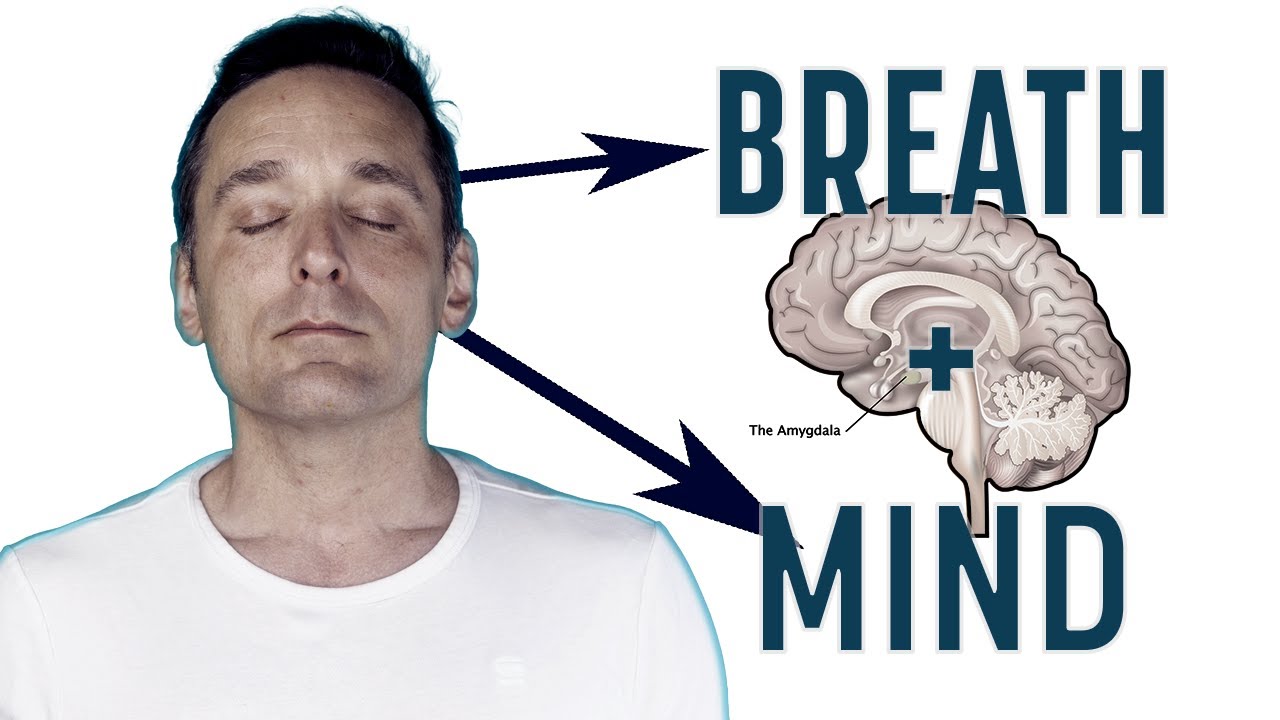 Breath + Mind: How Your Breath Can Control Your Mind - YouTube