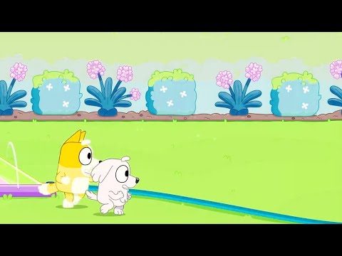 Bingo and Lila’s Water Slide Adventure! 💦 | Bluey🏄‍♂️🏄