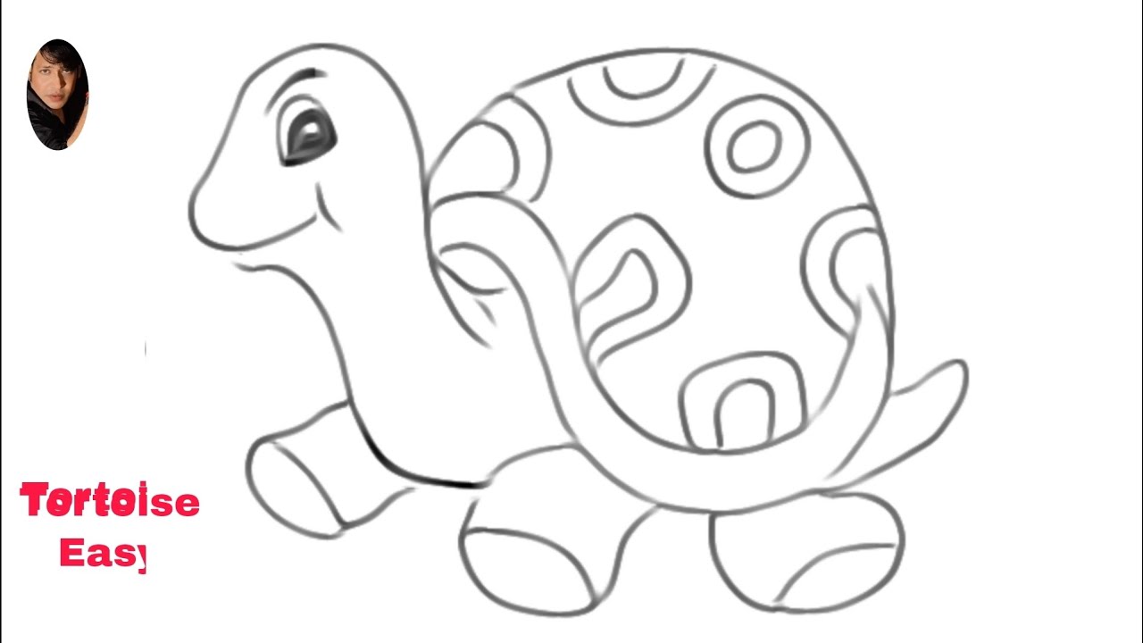 Tortoise drawing easy l How to draw Turtle step by step l outline l ...
