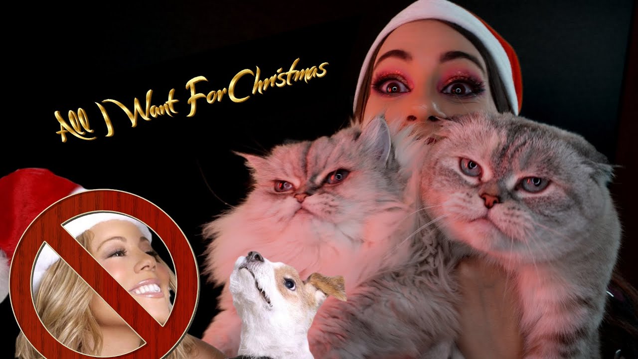 All I Want For Christmas Is Metal And Cats Mariah Carey Cover Youtube