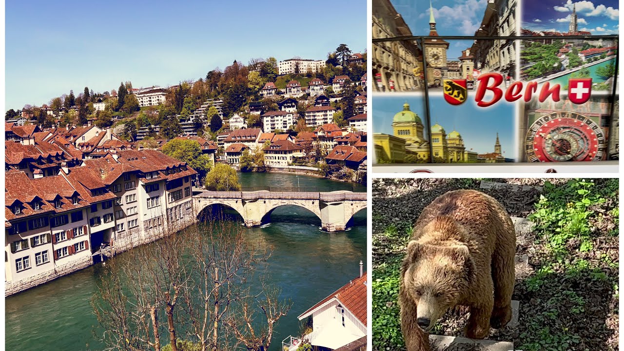 4k| bear park Bern | Switzerland 🇨🇭 - YouTube
