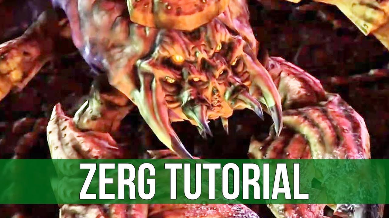 StarCraft 2: Zerg Tutorial - Drones before Army! - YouTube
