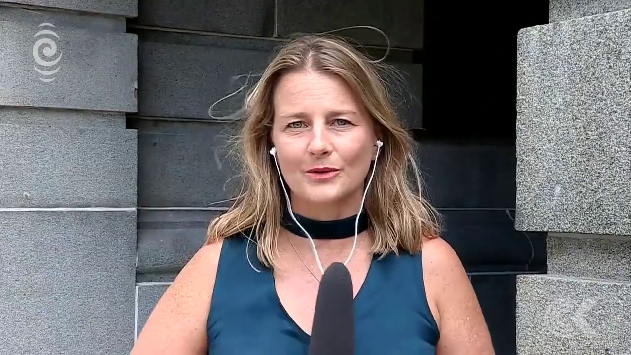 Journalist Karen Ruthorford on why she supports foreign driver test ...