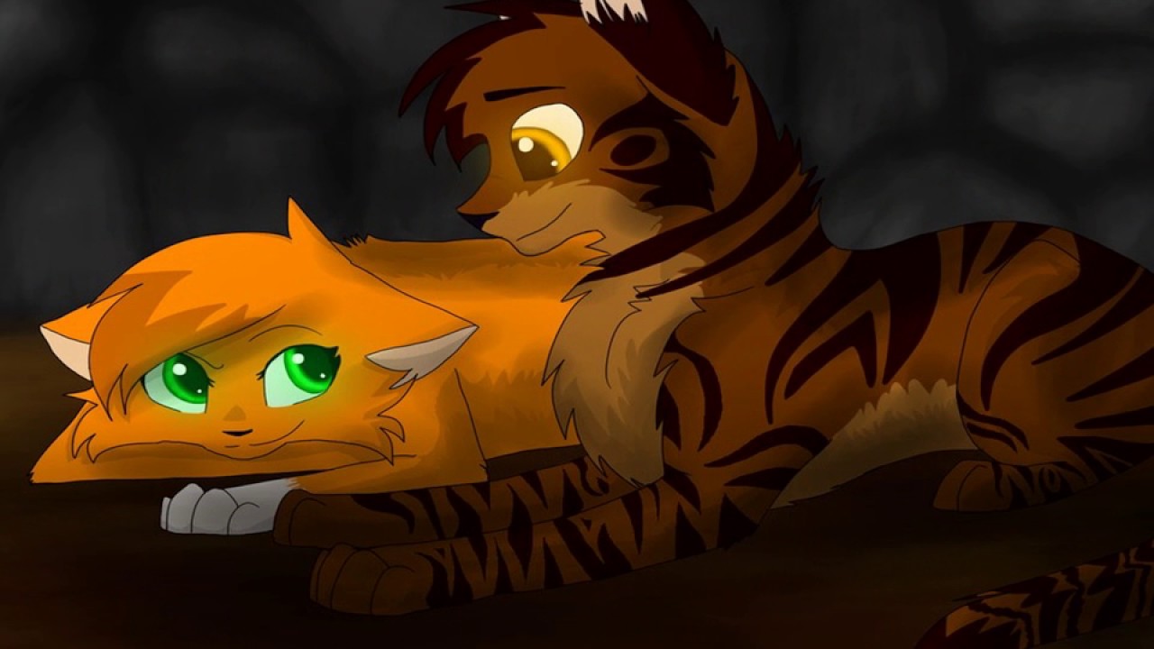 LGDC - L'amour de Poil d’Écureuil et Griffe de Ronce - YouTube