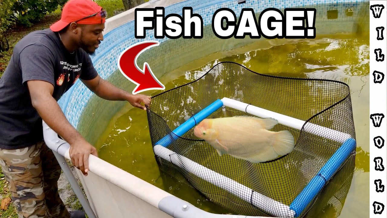 **DIY Nursery CAGE Build to Grow out Pets! - YouTube