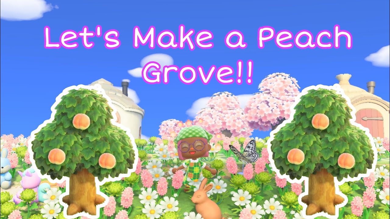 Let's Build A Peach Grove! - YouTube