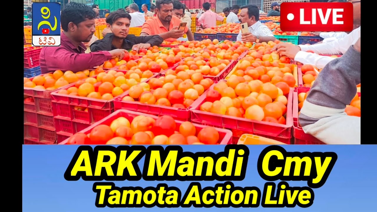 ARK Mandi Tamota(ಟಮೋಟ) Action Live 520 rs top - YouTube