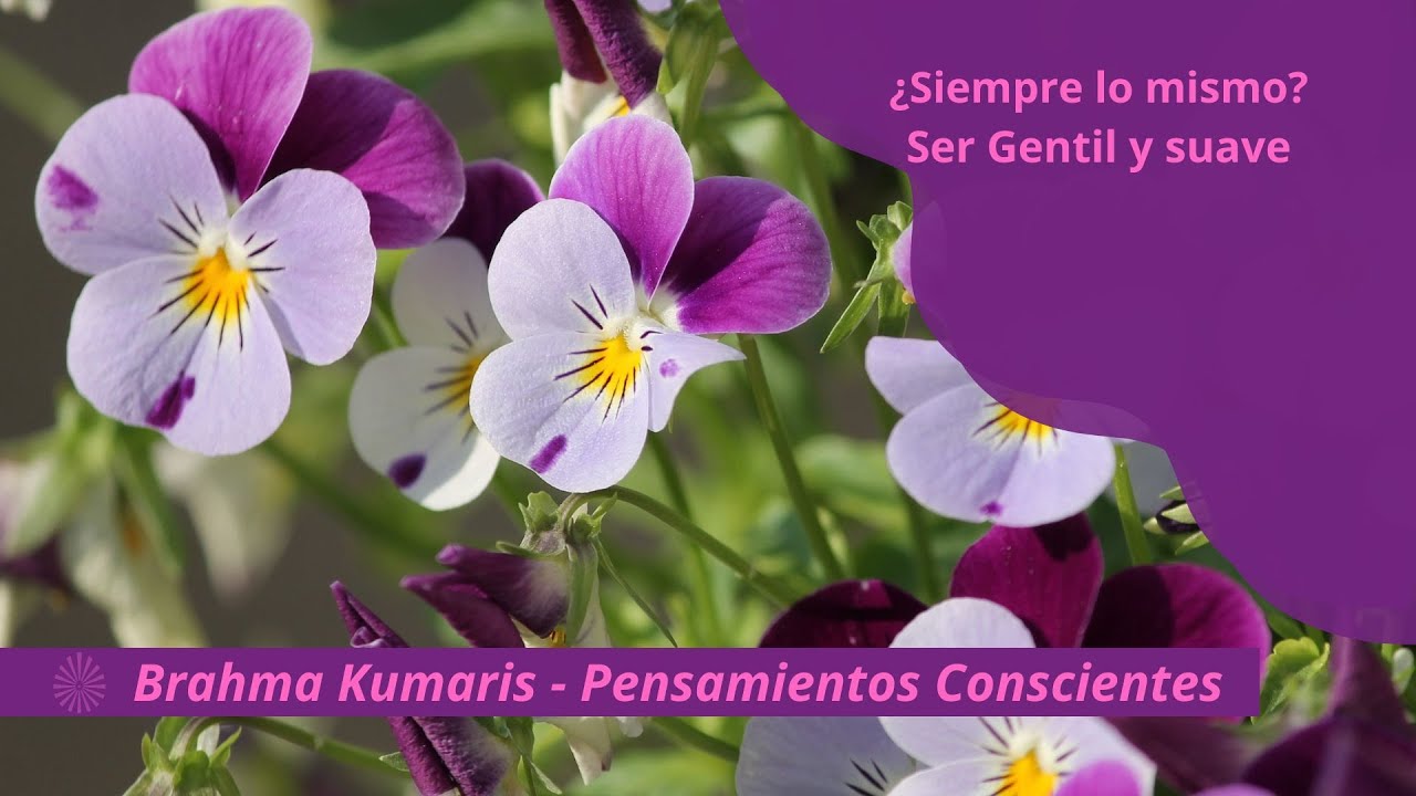 Pensamiento Consciente: Siempre lo mismo - Ser gentil y suave - YouTube