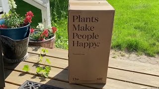 How to pick the right retailer to buy plants online