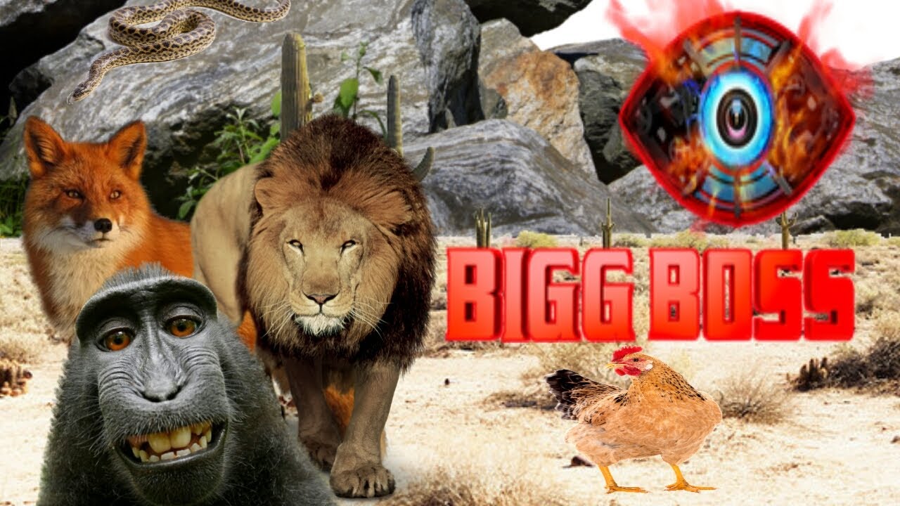 Big Boss - Animal Version - Wild Life - YouTube