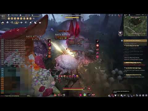 [SEA] BDO LAHN SUCCESSION 223 AP POLLY'S FOREST (ROTATION TEST) - YouTube