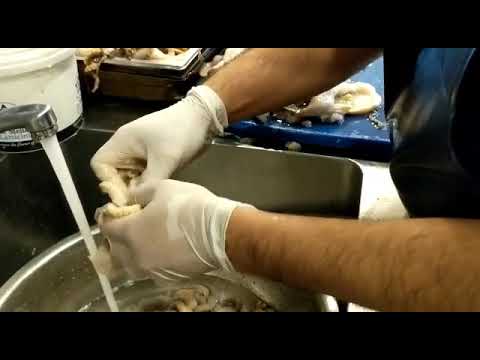 How to clean baby octopus. - YouTube