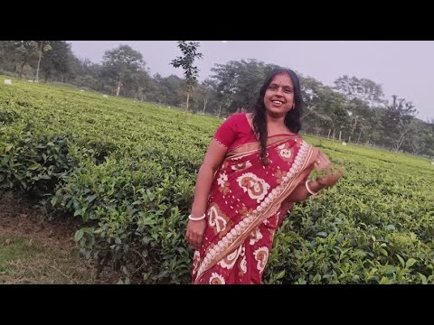 Maya Ray Shil is live Hello everyone please join my live - YouTube