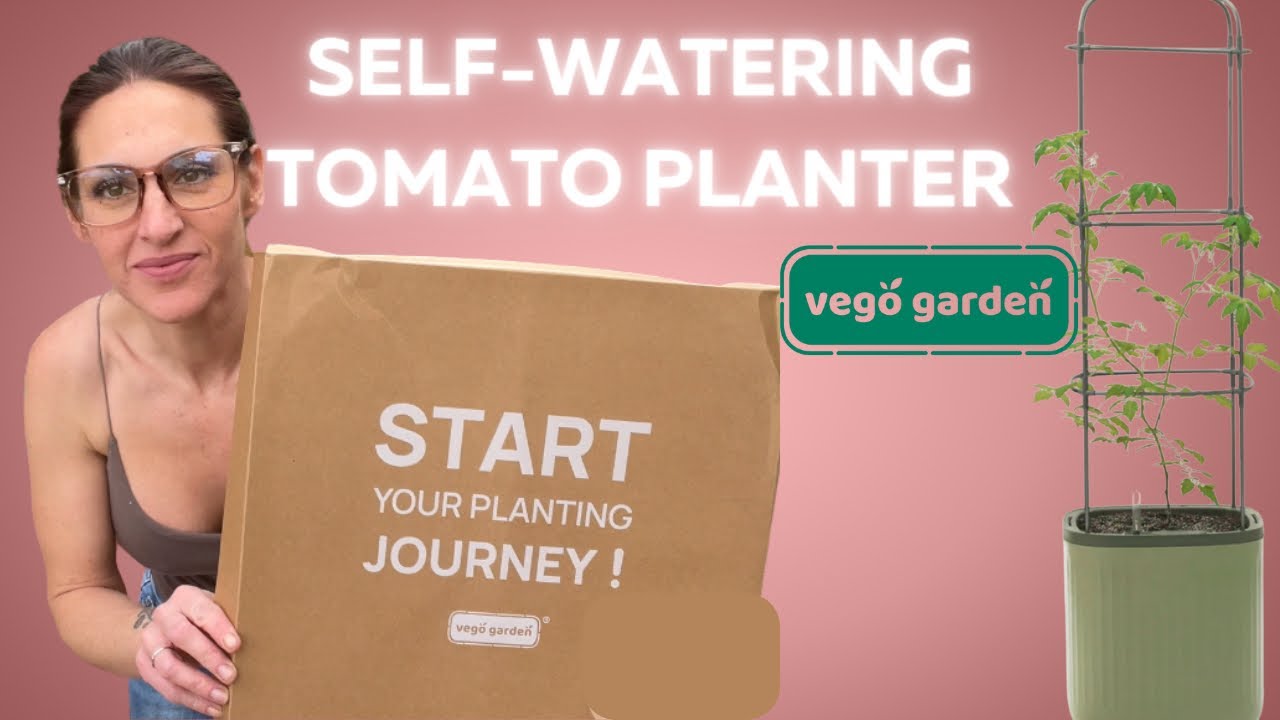 Small Space Gardening || Vego Self Watering Tomato Planter - YouTube