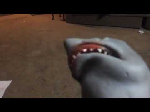 Shark yeah - YouTube