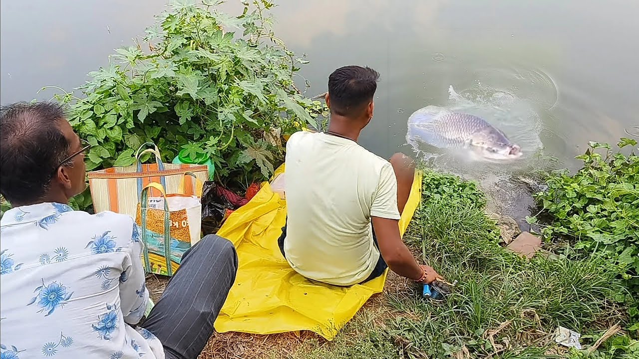 fishing videos ! amazing fish hunting techniques ! new fishing video ...