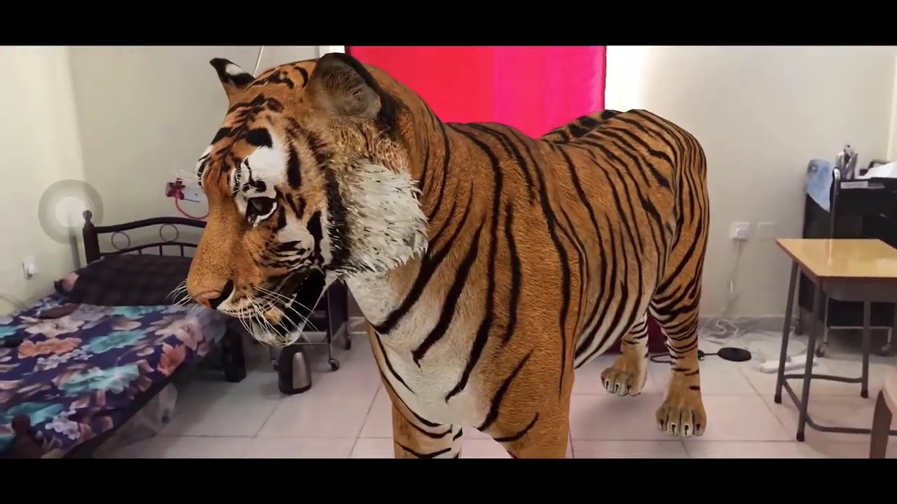 Augmented reality Tiger - YouTube