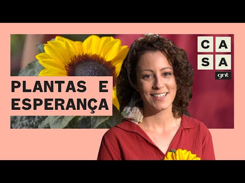 Como recuperar a ESPERANÇA através da JARDINAGEM | Plantaterapia | Carol Costa