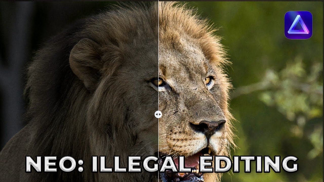 Luminar Neo Pro: Elevating Your Wildlife Photography - YouTube
