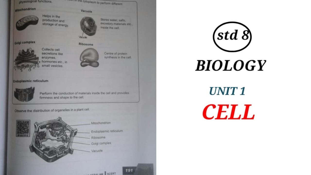 BIOLOGY |STD 8|UNIT 1|CELL|ACTIVITY CARD |LEARNING EXCELLENCE RECORD ...