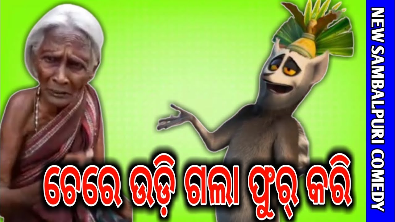 Chere Udigala Fur Kari//New Sambalpuri Comedy//New Sambalpuri Cartoon ...