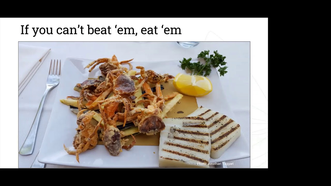 Soft-Shell Green Crabs 101: A ‘How To’ - YouTube