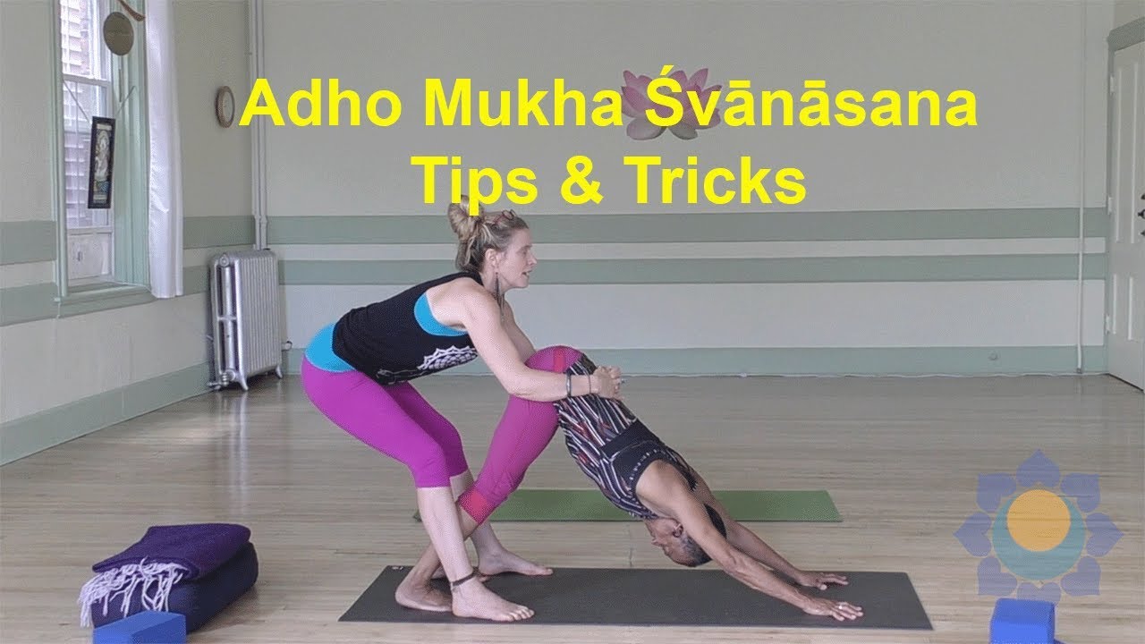 Adho Mukha Śvānāsana Tips & Tricks - YouTube