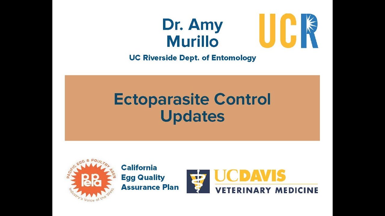 Ectoparasite Control Updates - Dr. Amy Murillo - YouTube