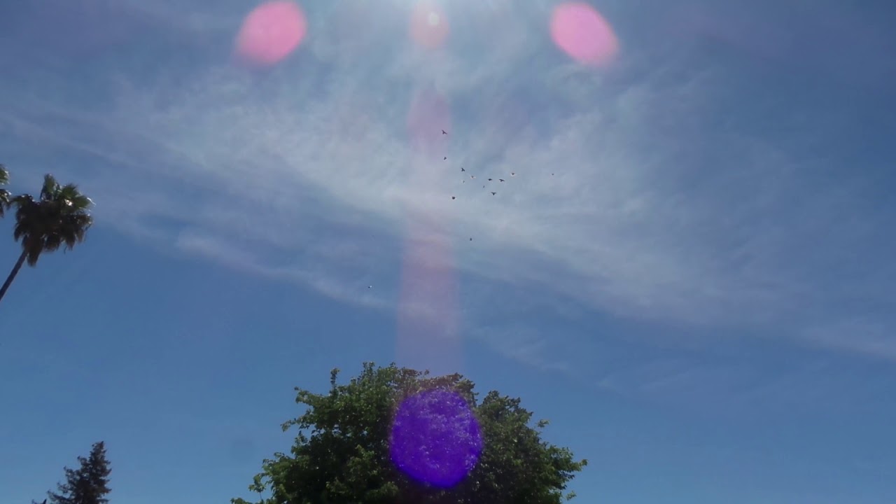 {AARC} Darrell Pearson Sacramento, Calif. Fly Day 05/23/ 2020 Part #2 ...