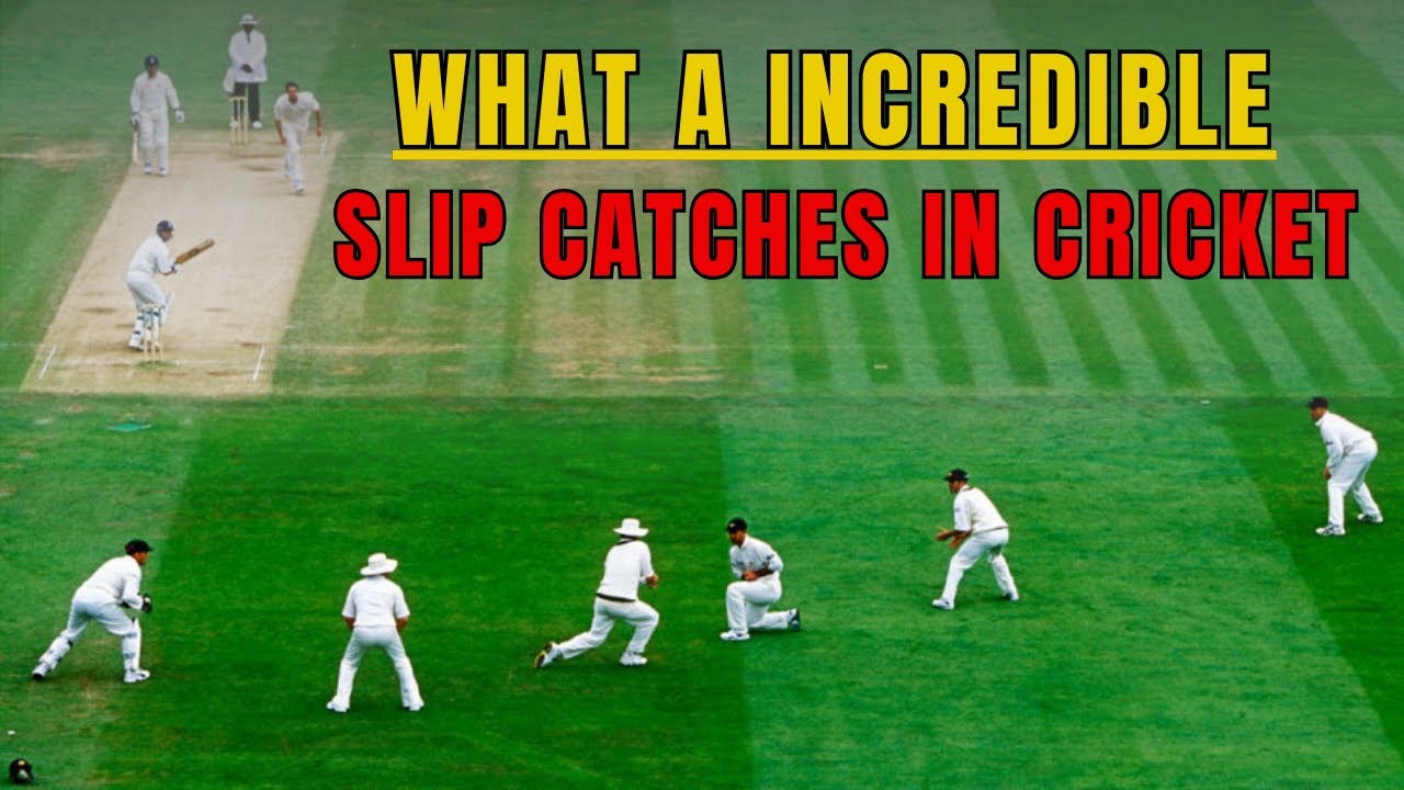 What a Incredible Slip Catches In Cricket || By Ranji Player Prateek ...