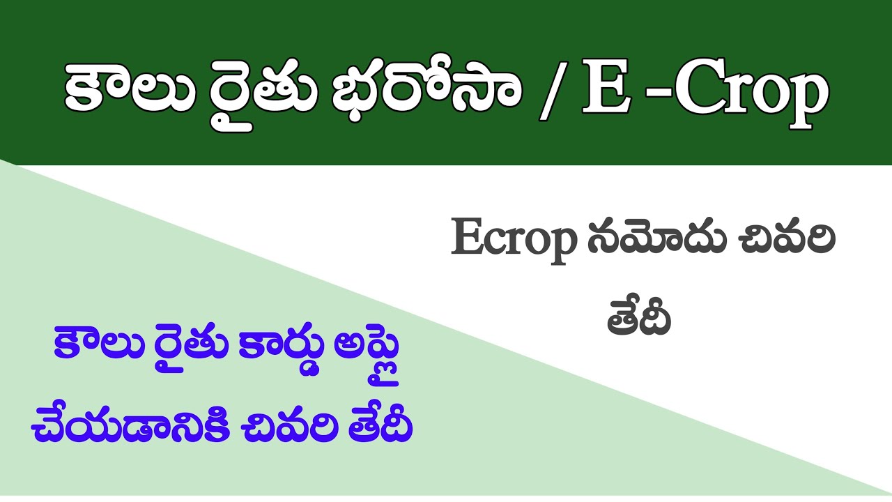 Koulu Rythu Bharosa - CCRC Cards - Ecrop [Last Date To Apply] || Siva ...
