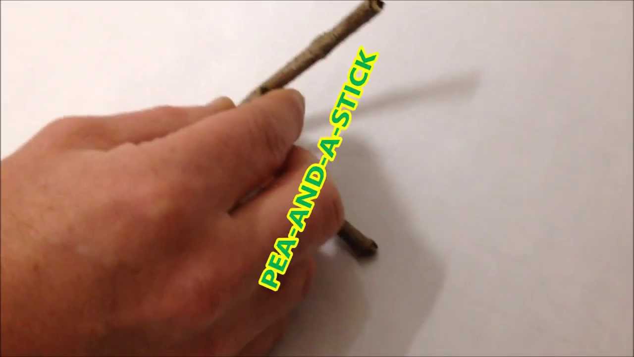 PEA-AND-A-STICK "How to remove a computer virus" - YouTube