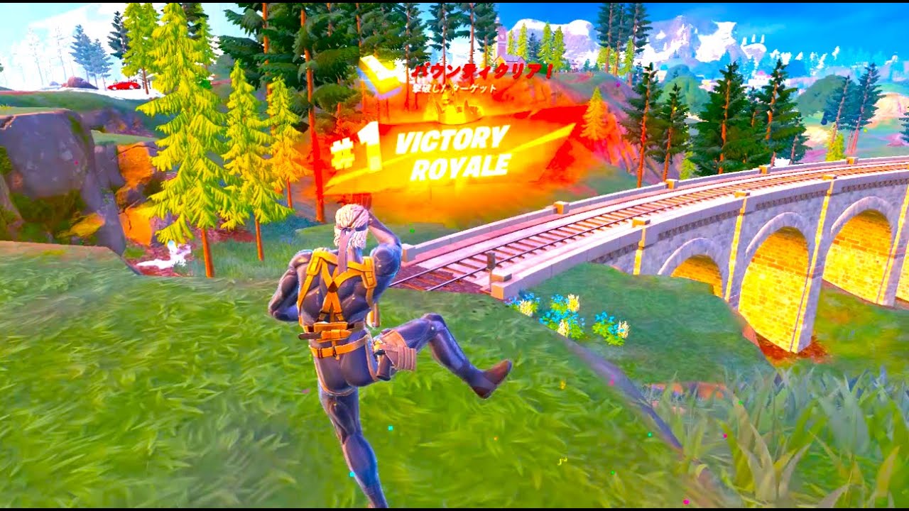 20 Elimination Solo Win (Fortnite Chapter 5 Full Gameplay) - YouTube