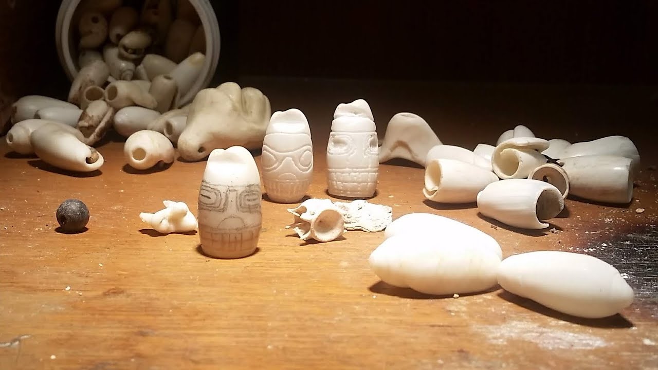 El uso del Uaimo (Oliva scripta), sonajas de olivo en nuestras culturas ...