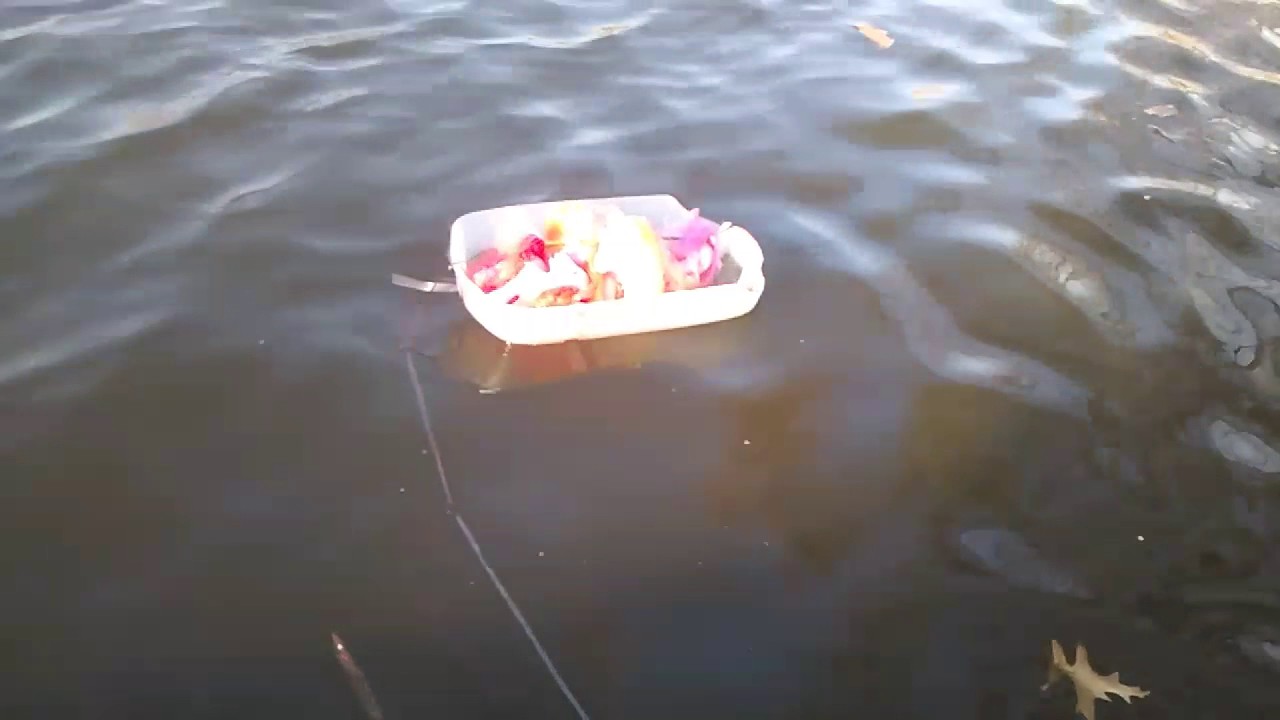 MLP G3- boat trip - YouTube