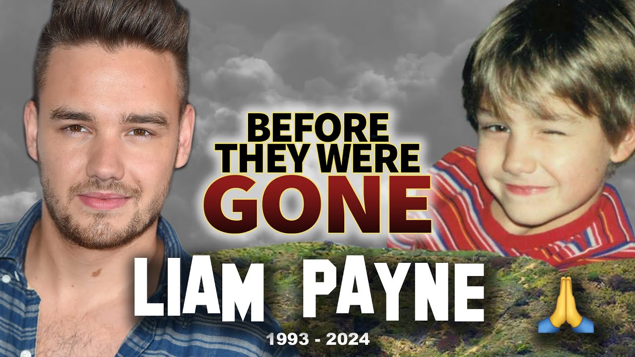 Liam Payne | One Direction Member Tragically Fell | Before They Were Gone - YouTube