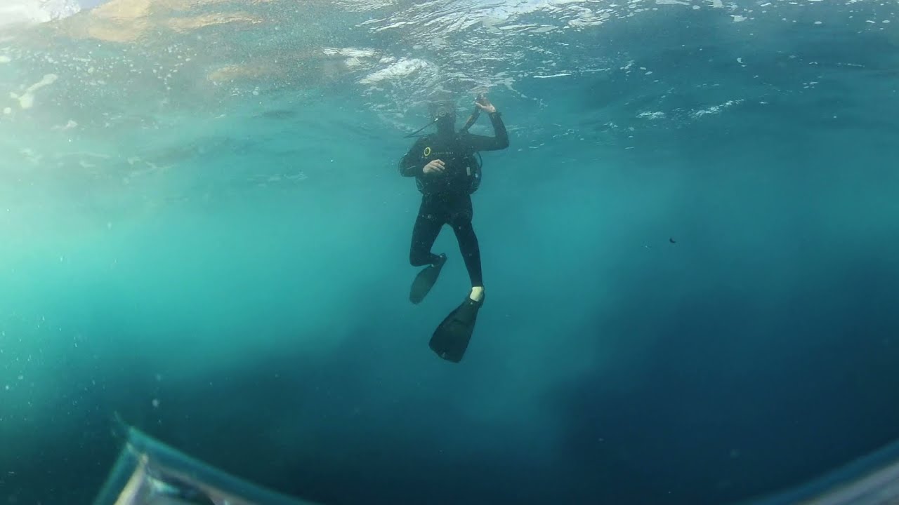 Diving 360 Video Experience - YouTube