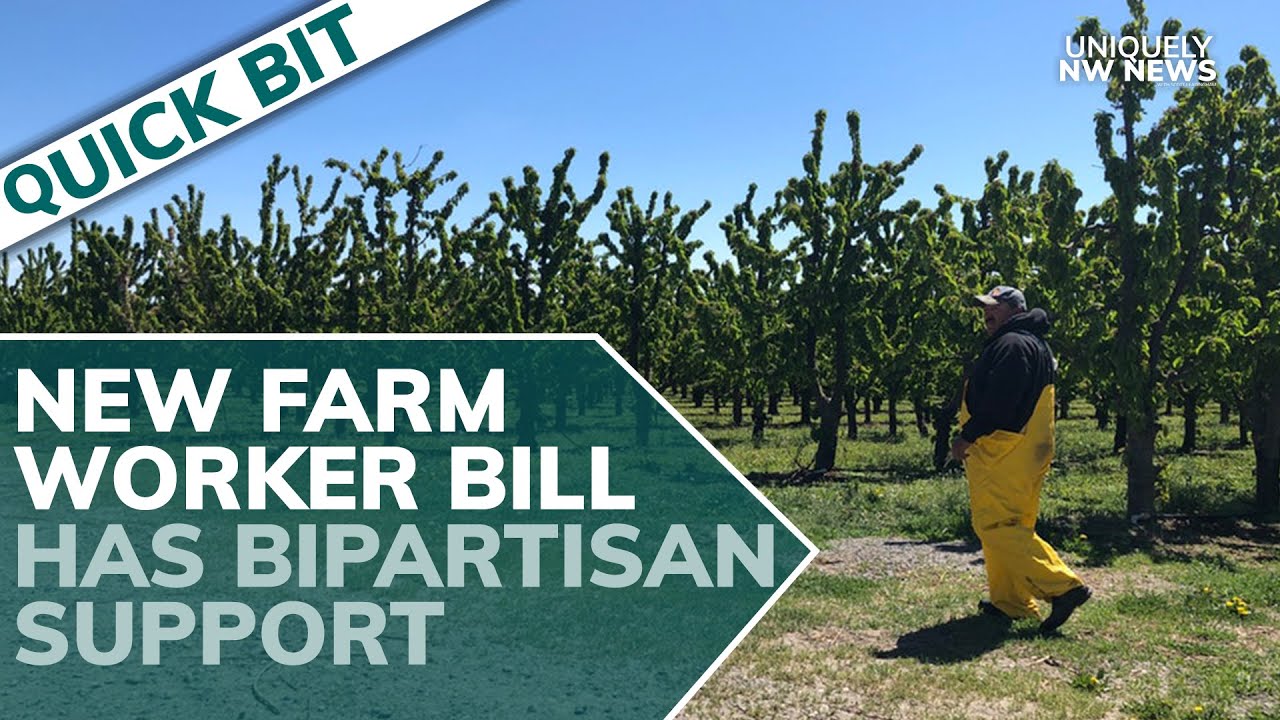 A New PNW Farm Worker Bill Has Bipartisan Support In The U.S. House ...
