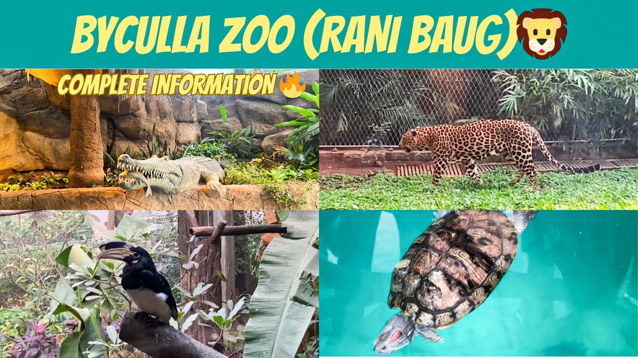 Byculla Zoo: Mumbai’s Wildlife and Nature Hub | Veermata Jijabai ...