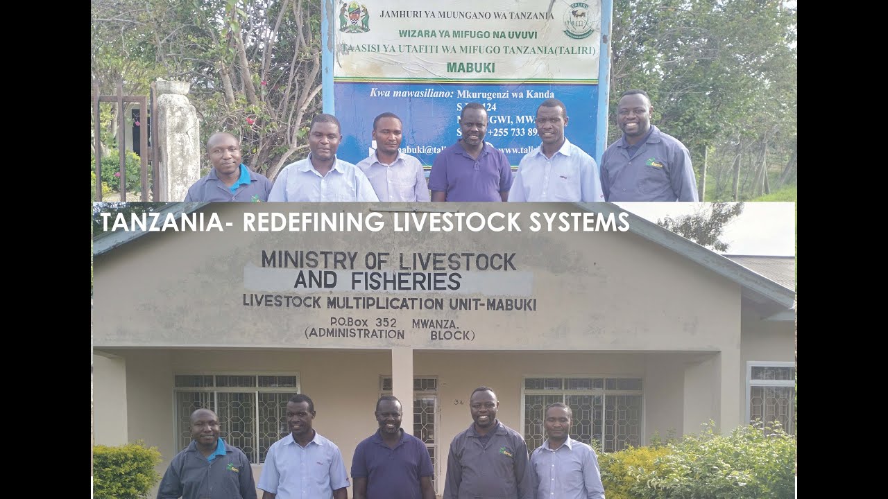 Our Journey to Tanzania-Mwanza- Redefining goats and other livestock ...