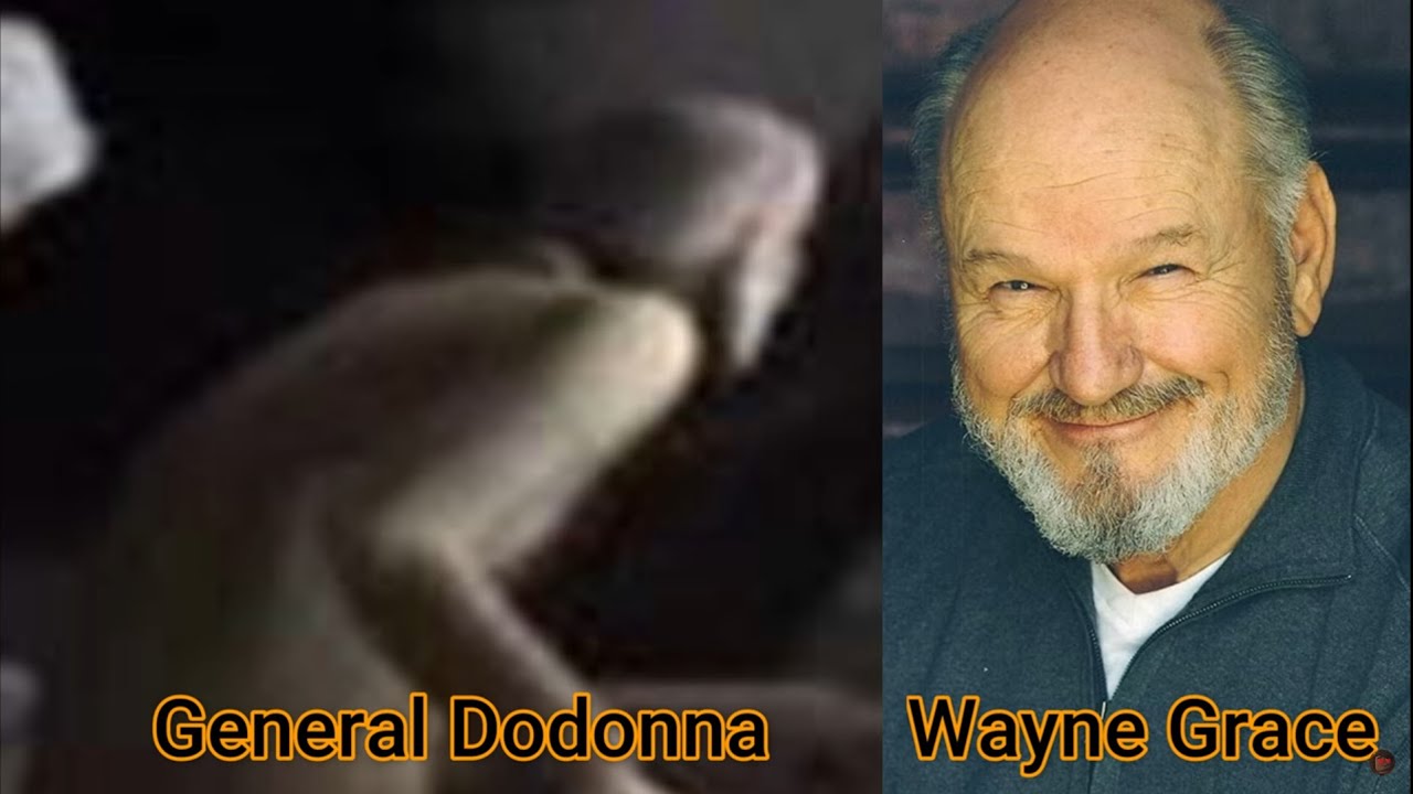 Character and Voice Actor - Star Wars Rogue Squadron III Rebel Strike ...