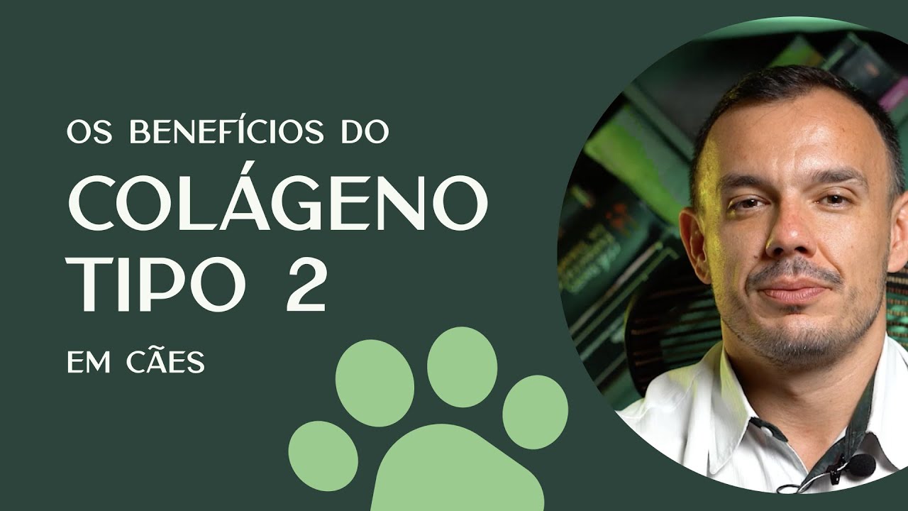 COLÁGENO TIPO 2 - Para cães! | Farma Débora PET - YouTube
